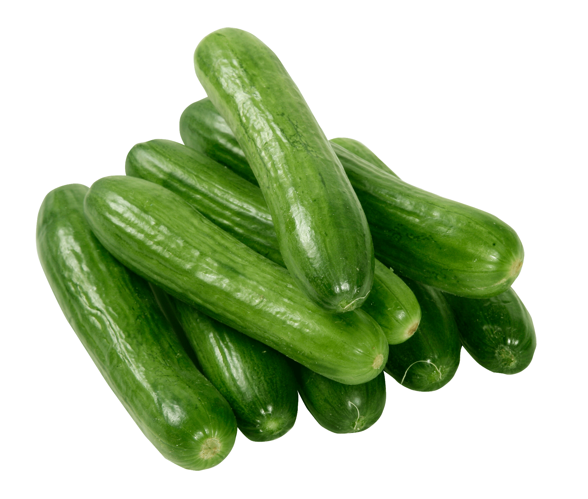 Salatalığın Faydaları » Bilgi Web